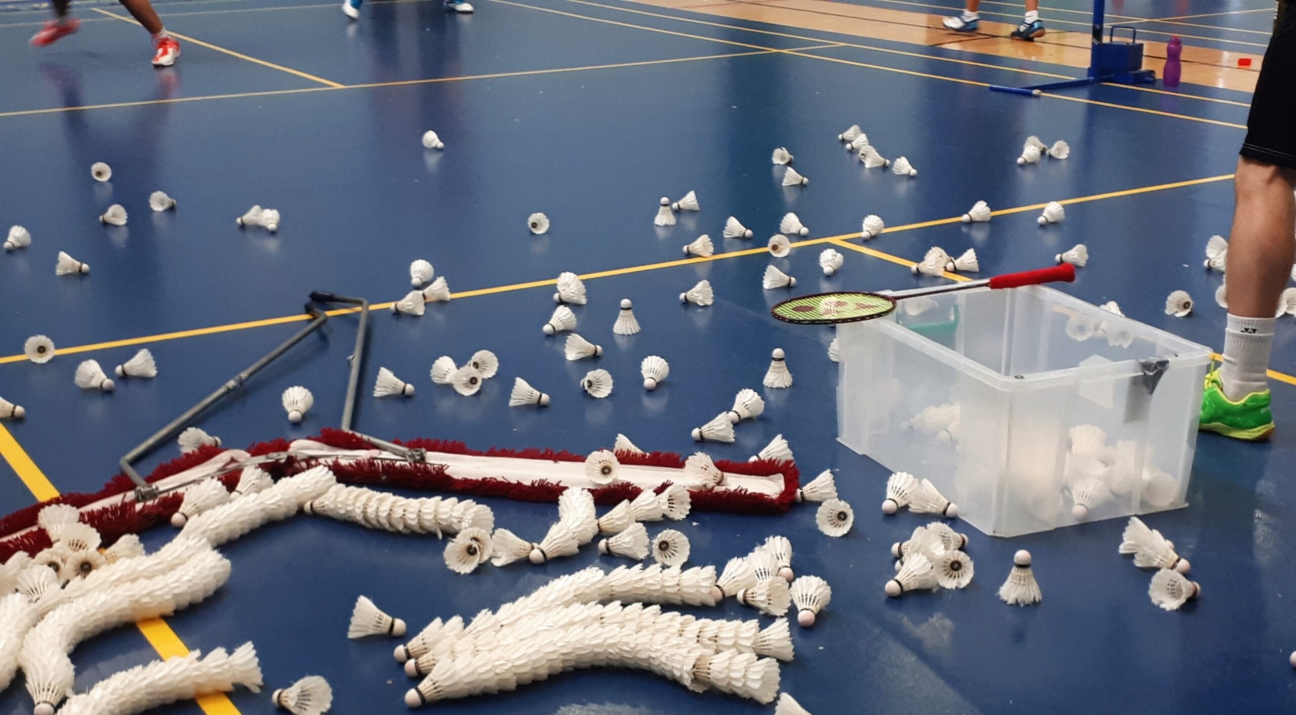 Badminton Multi shuttle for physical development Badminton Andy
